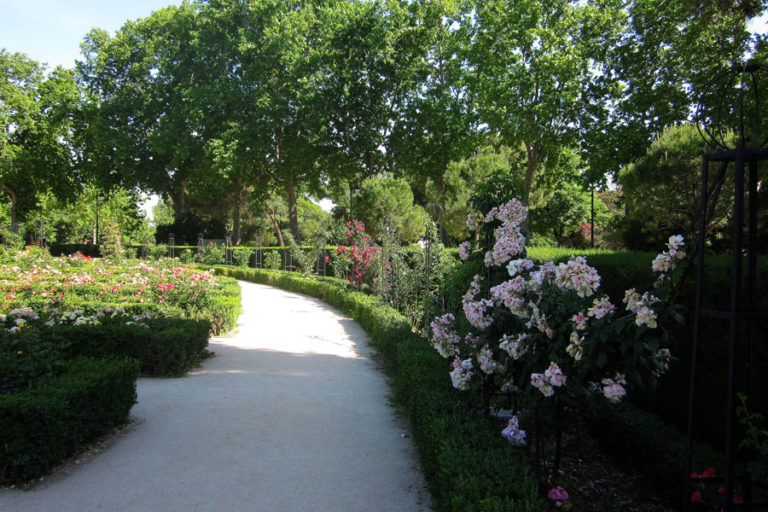The Retiro Park, the green lung of Madrid